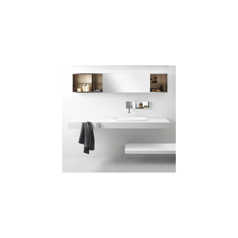 Wall Hung Sinks
