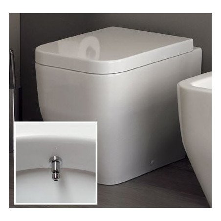 Flaminia Terra Toilets